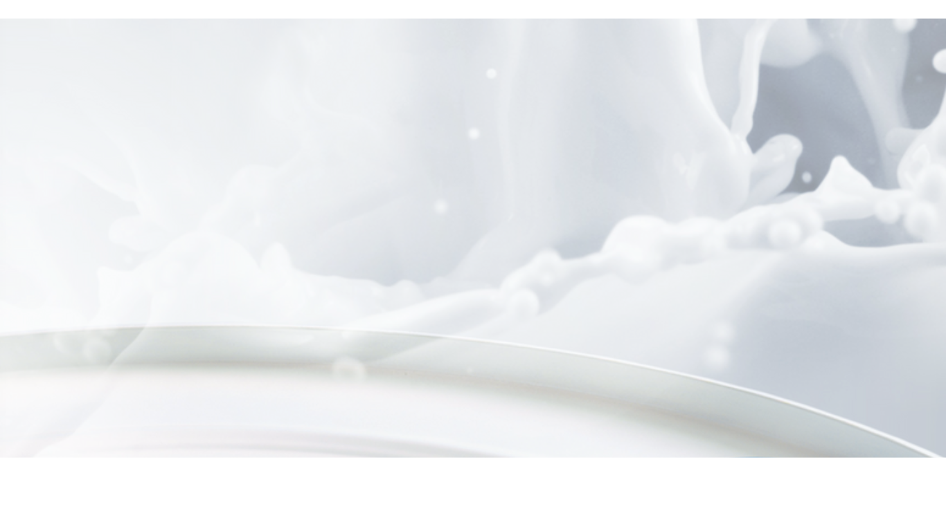 Elsö Inc. Online Shop